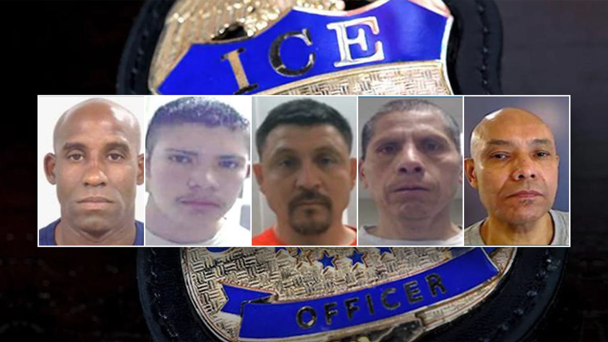 Stop Child Abuse - DHS arrests five illegal immigrants convicted of ...