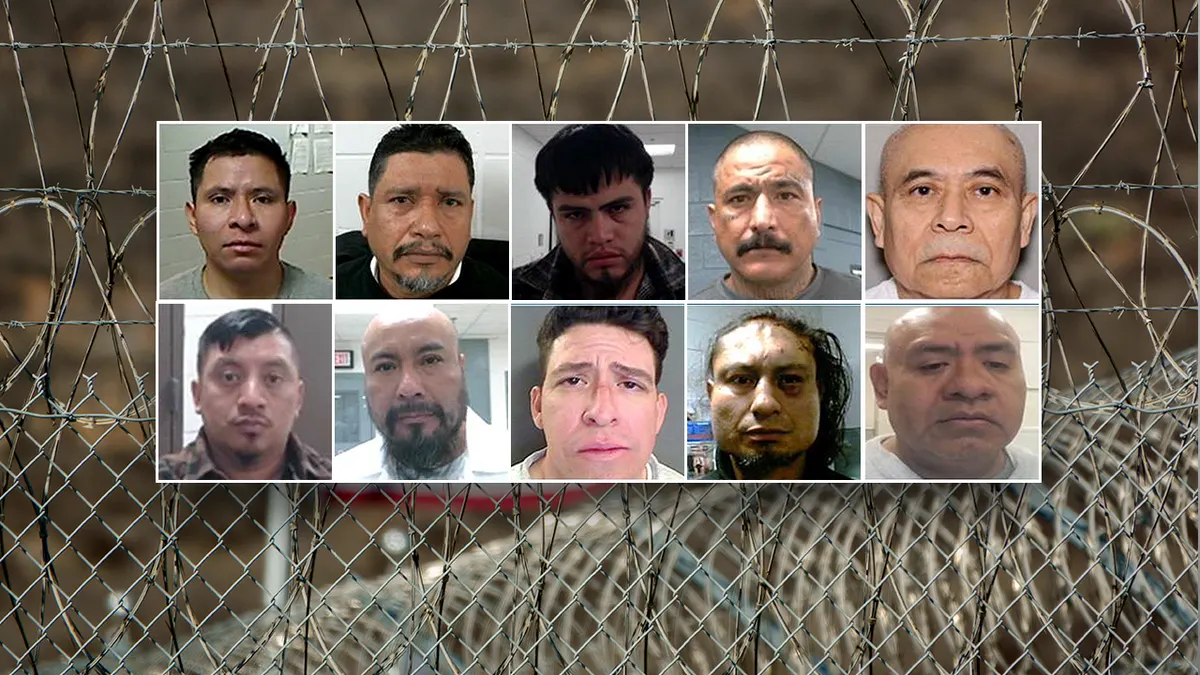 Stop Child Abuse - ICE sweeps up convicted pedophiles, traffickers in ...